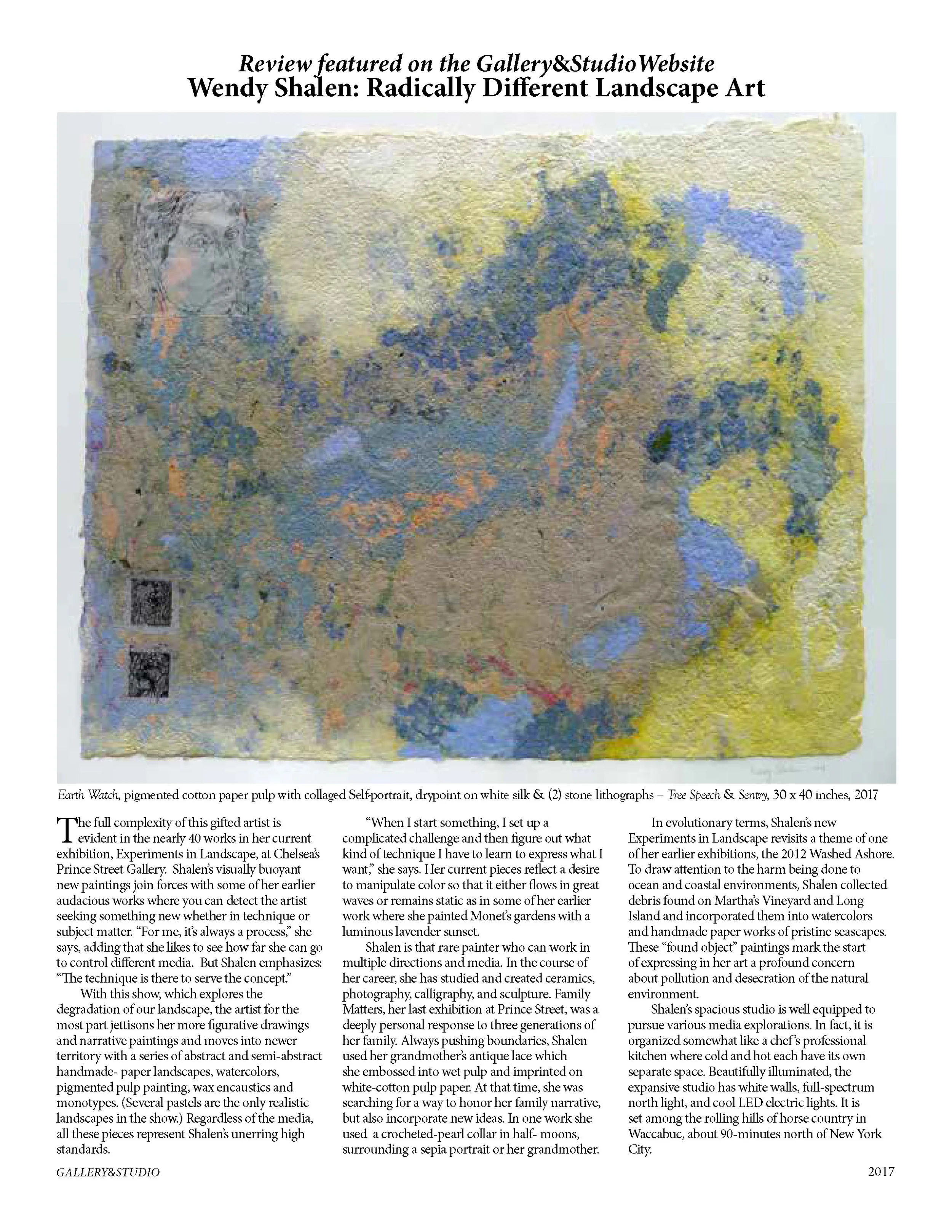 Wendy Shalen: Radically Different Landscape Art — Wendy Shalen