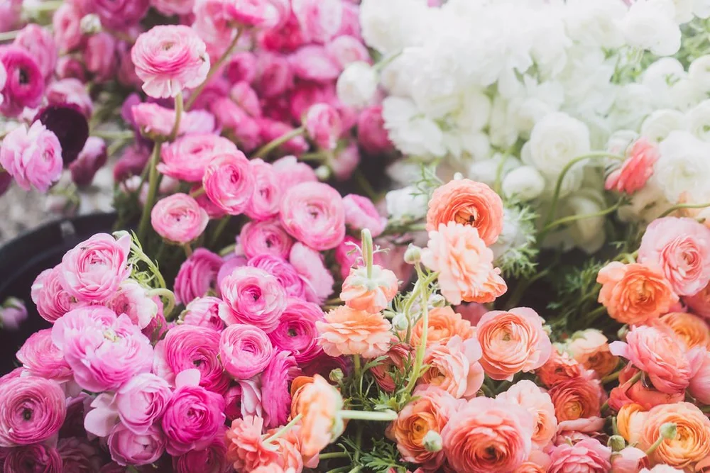 Seasonal Flower Guide — Trademarks Flower Farm