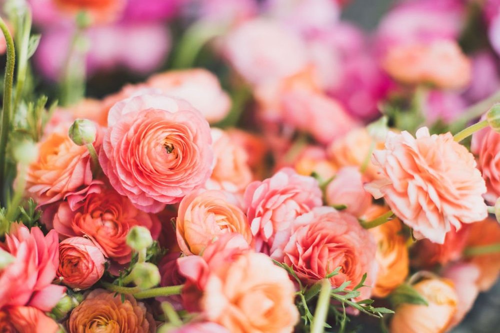 Trademarks Flower Farm