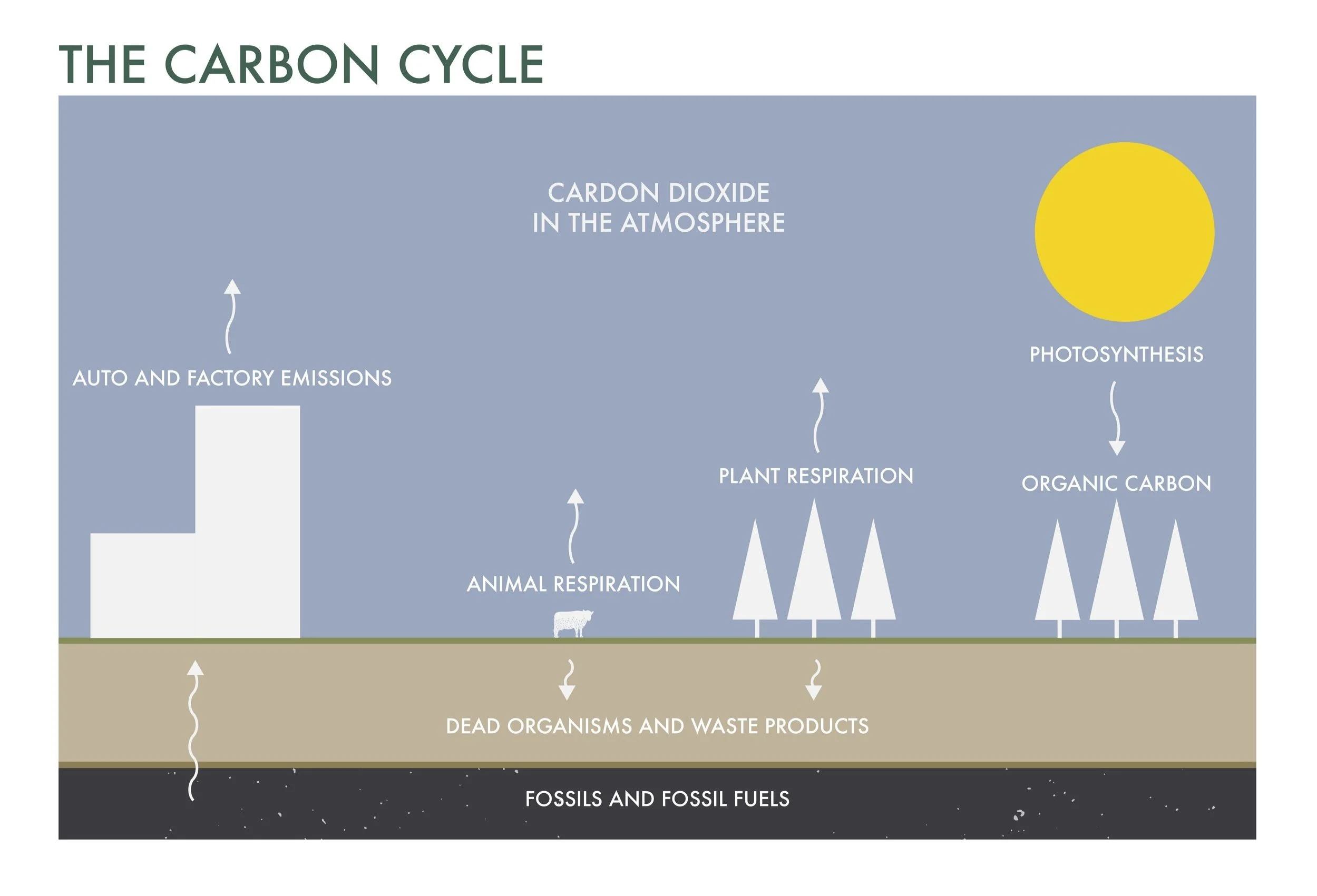 Demystifying Rebase And Nebcutter Bitesize Bio