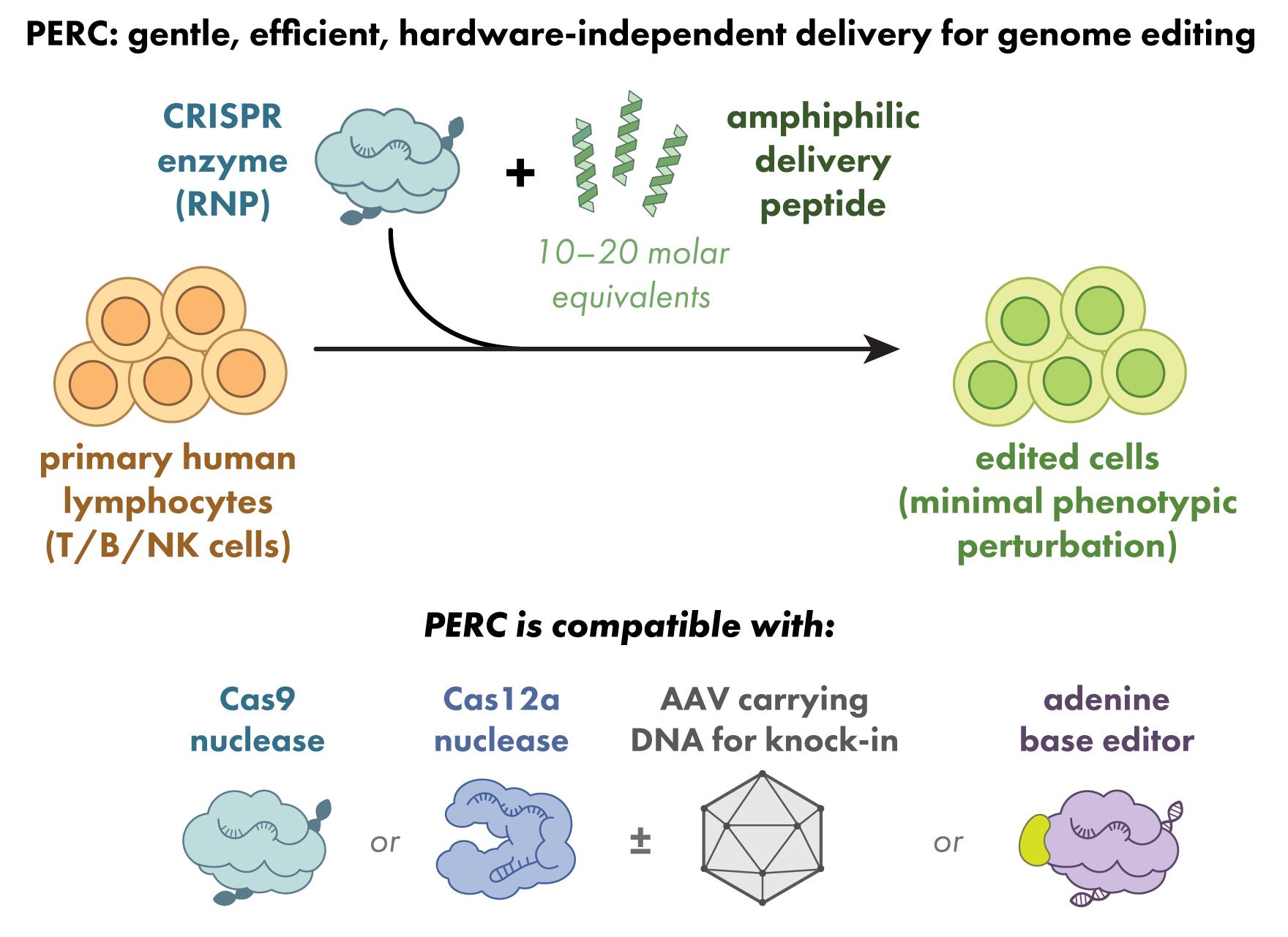 PERC — Wilson Lab