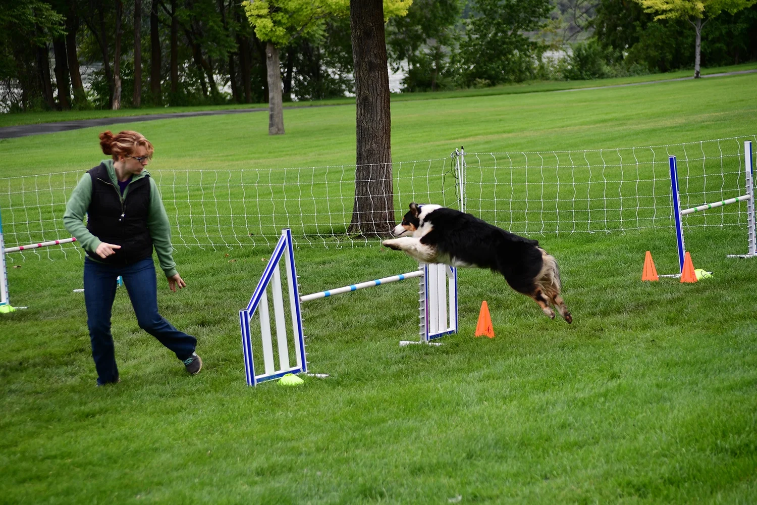 Events — Wenatchee Kennel Club