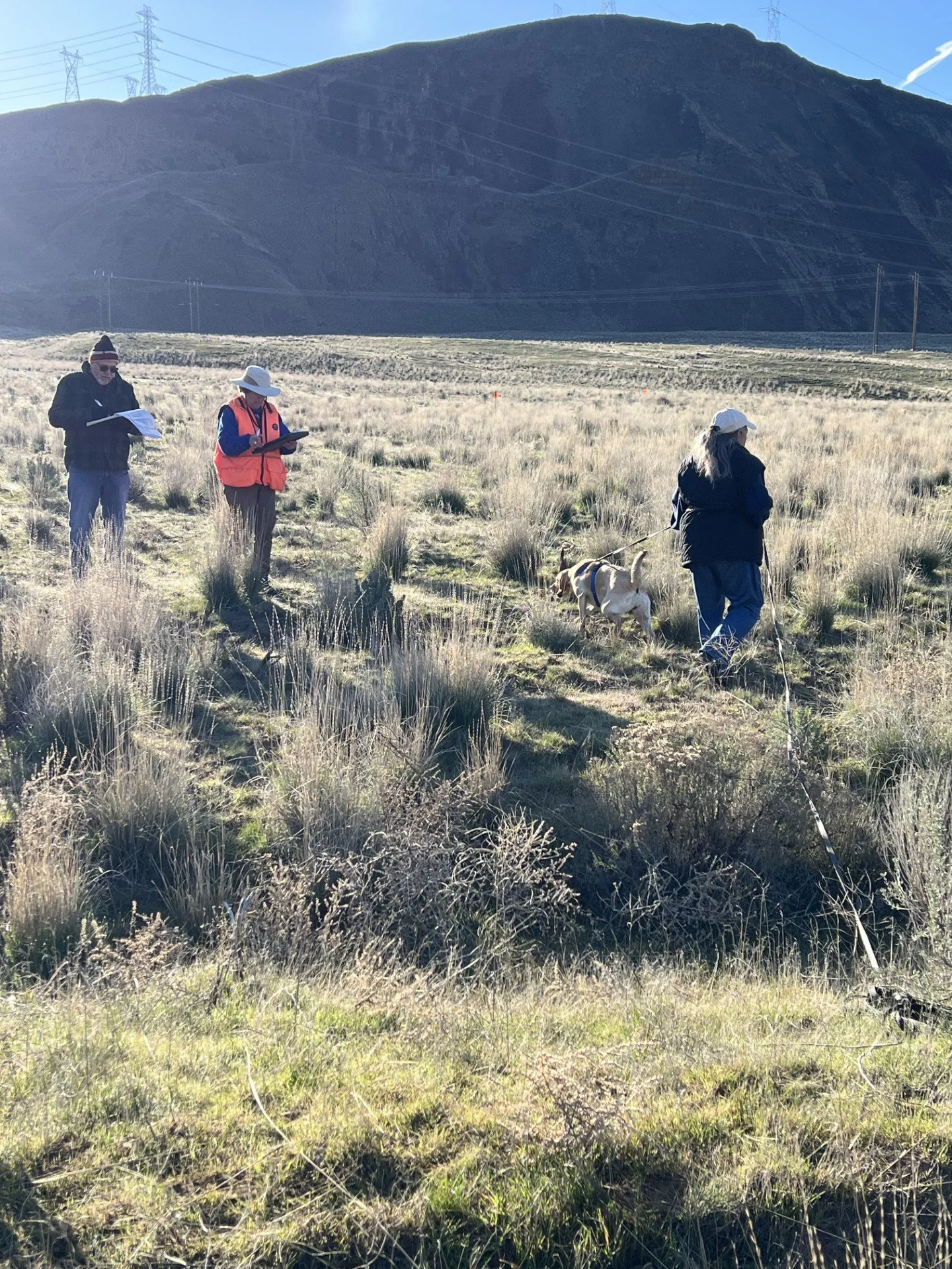 Events — Wenatchee Kennel Club