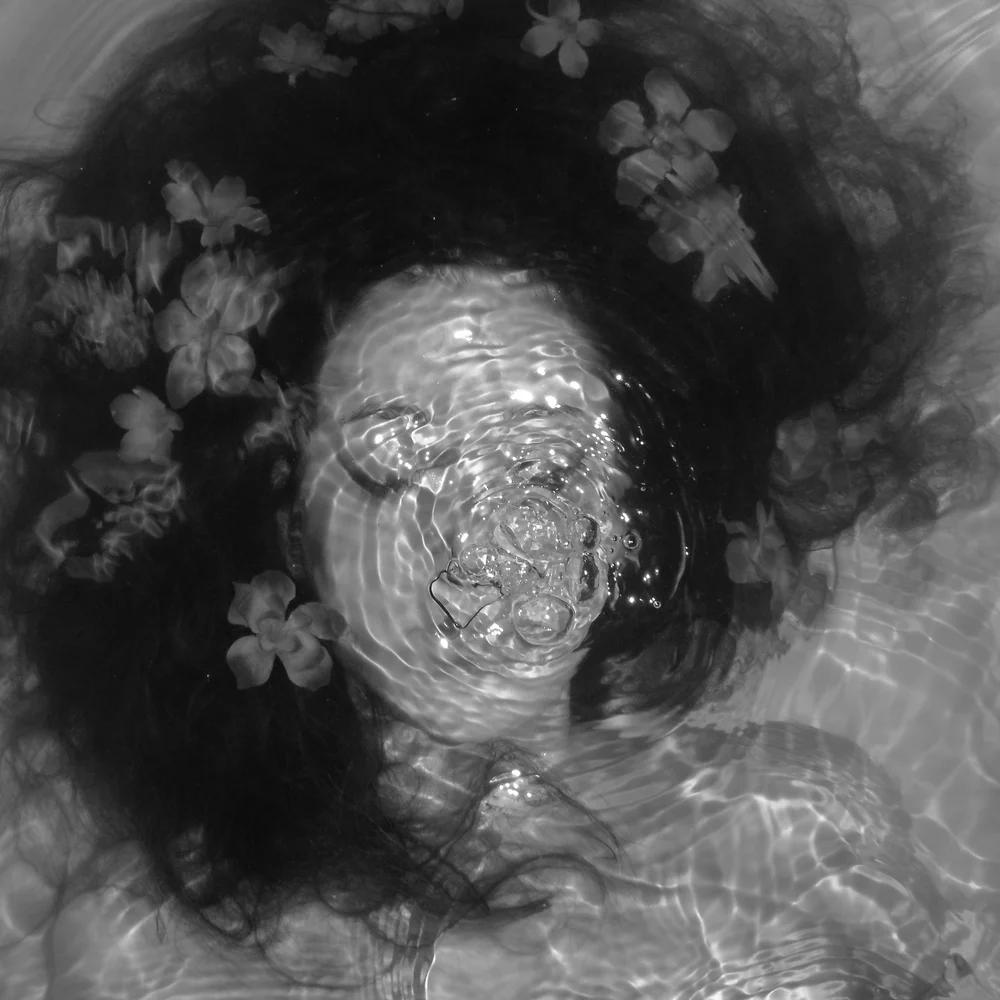Fiction 7.1 — Oyster River Pages