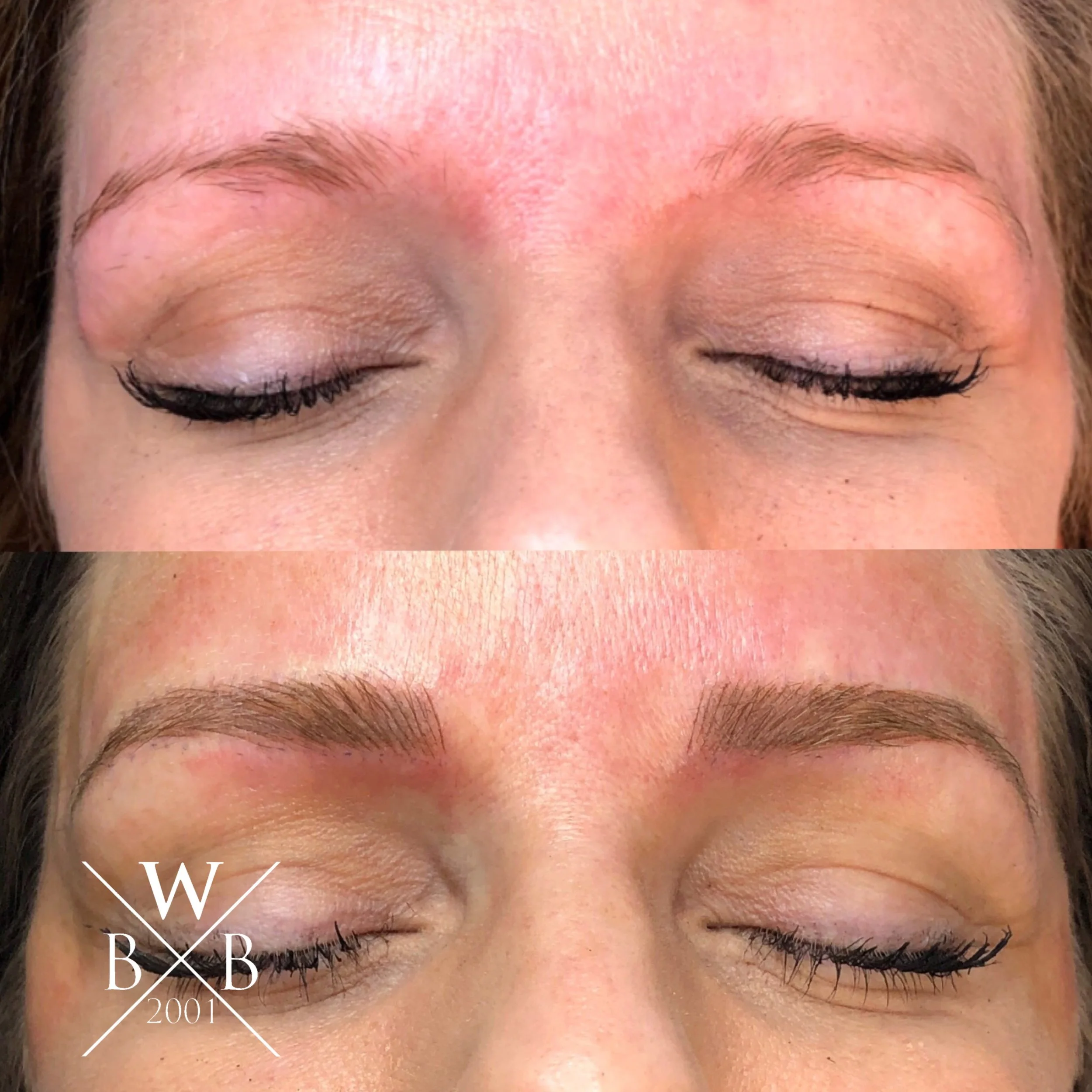 Microblading Before and After Pictures | Brows by Whitney