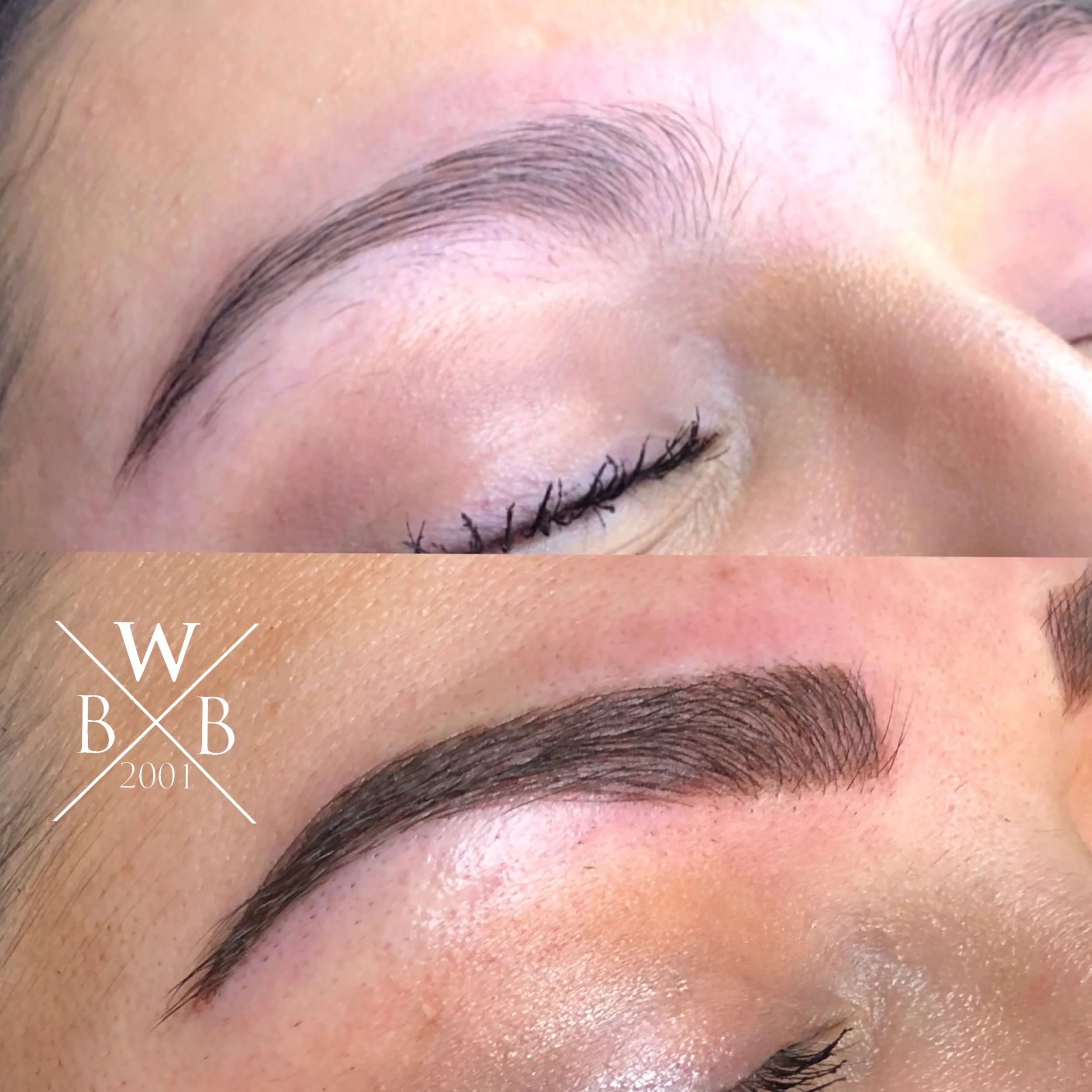 Microblading Before and After Pictures | Brows by Whitney