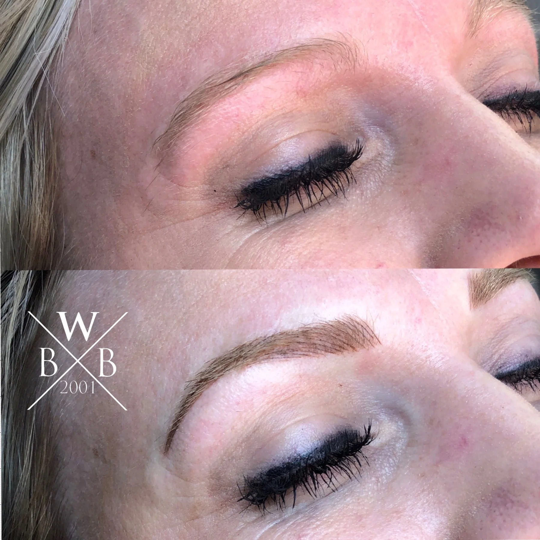 Microblading Before and After Pictures | Brows by Whitney