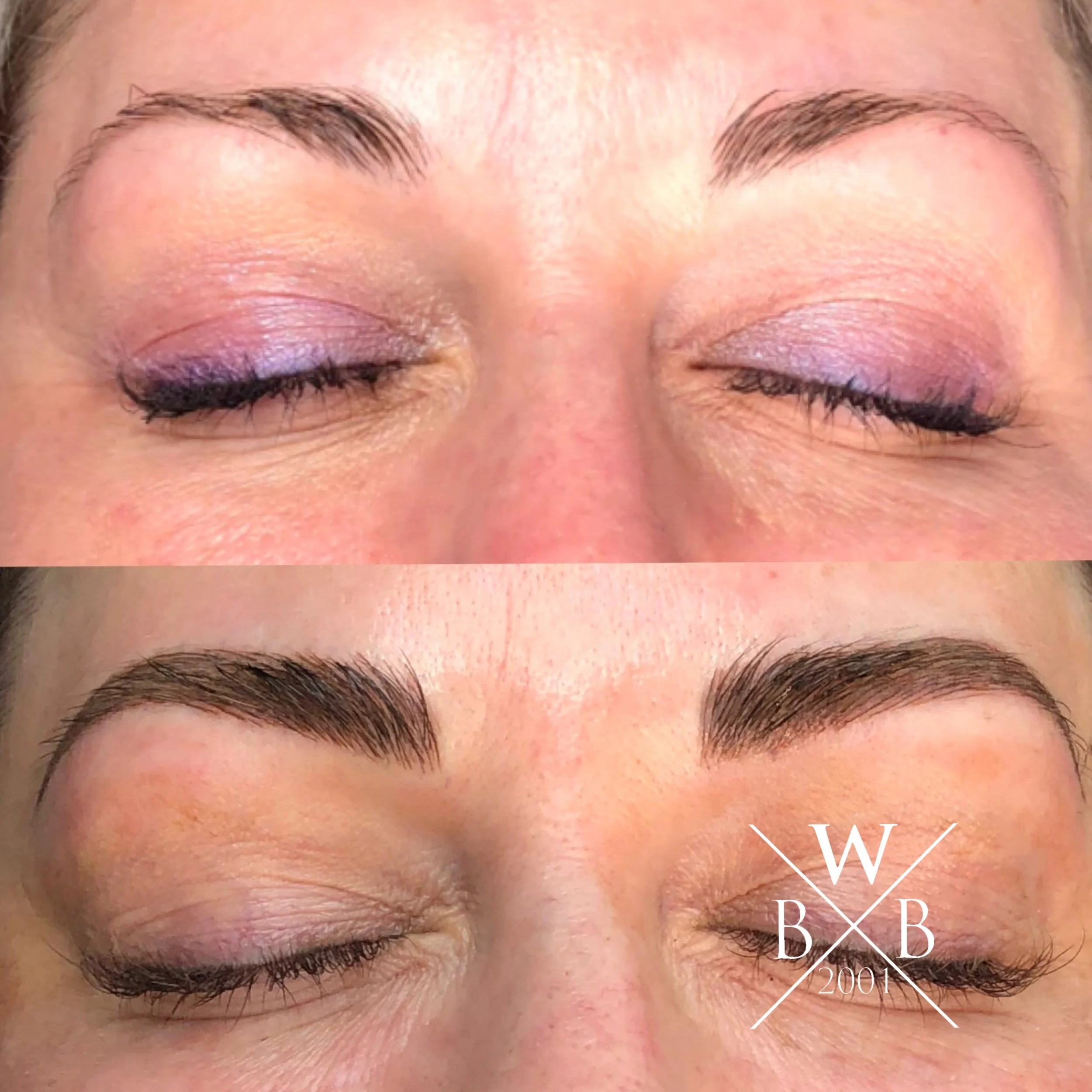 Microblading Before and After Pictures | Brows by Whitney