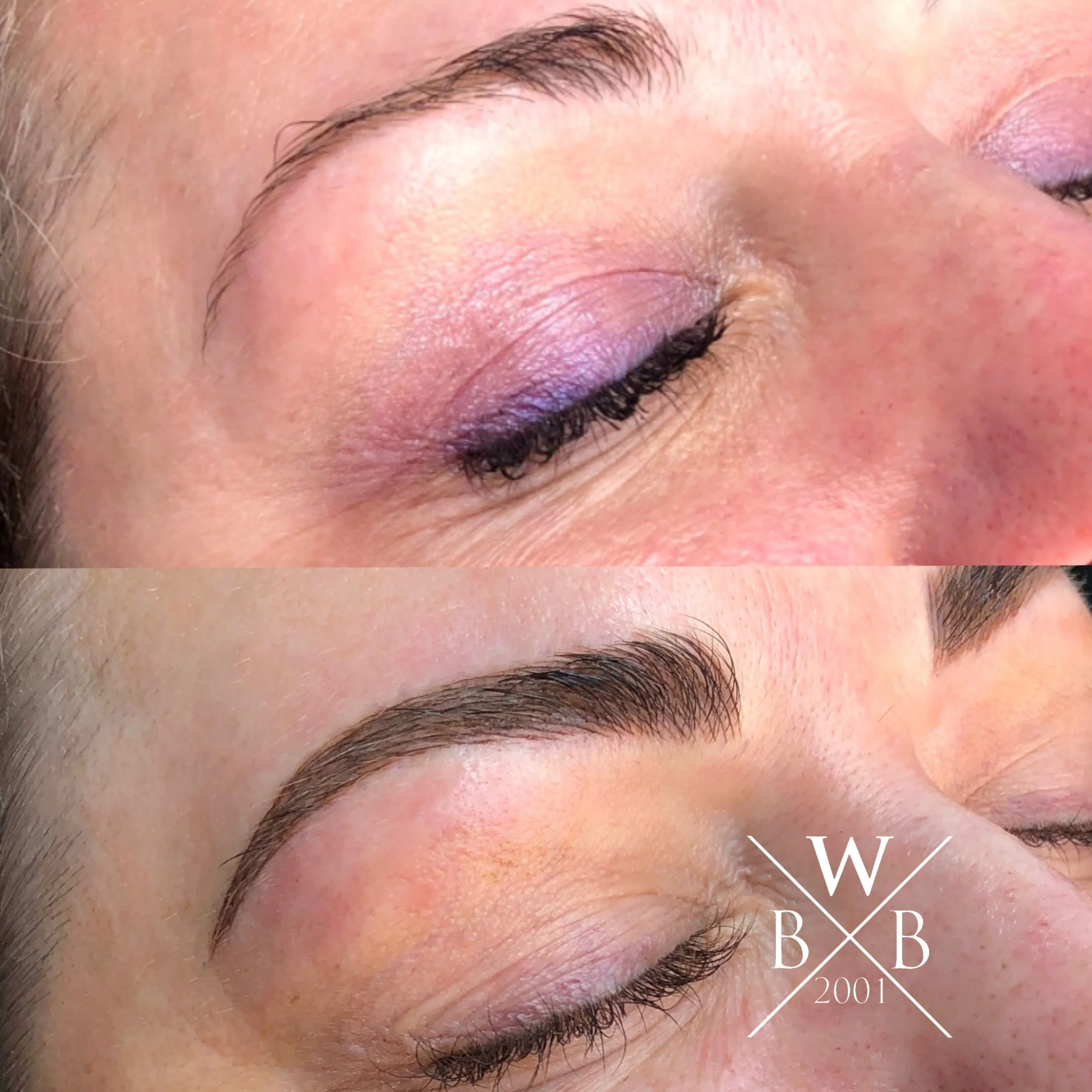 Microblading Before and After Pictures | Brows by Whitney