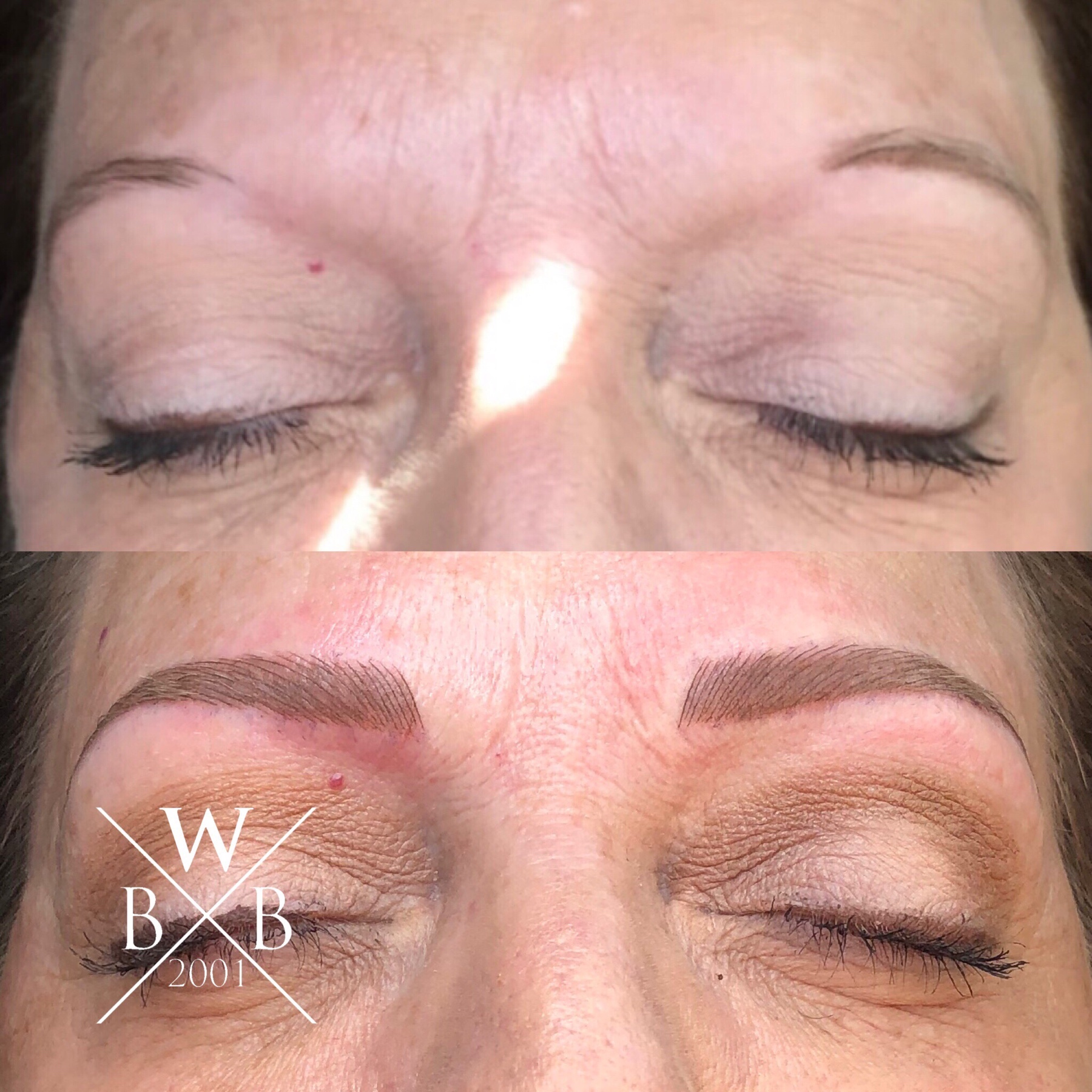 Microblading Before and After Pictures | Brows by Whitney