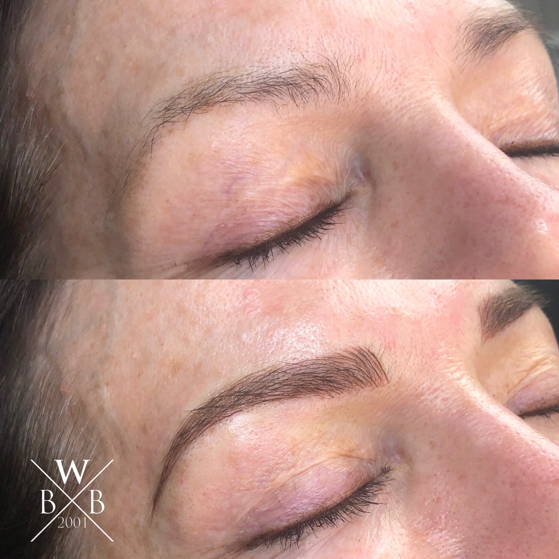 Microblading Before and After Pictures | Brows by Whitney