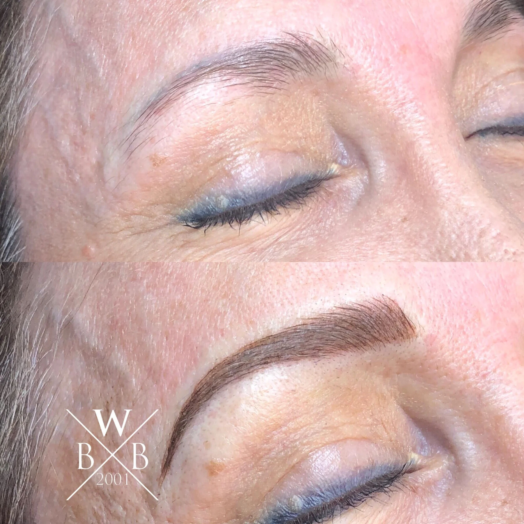 Microblading Before and After Pictures | Brows by Whitney
