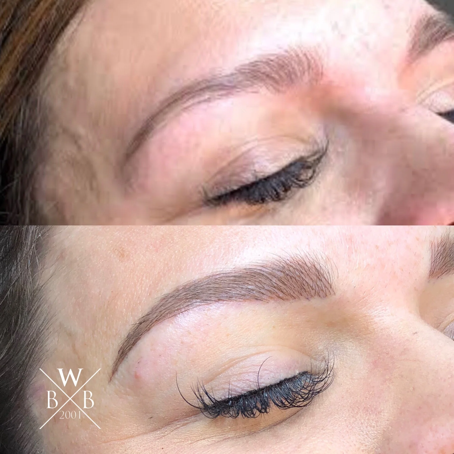 Microblading Before and After Pictures | Brows by Whitney