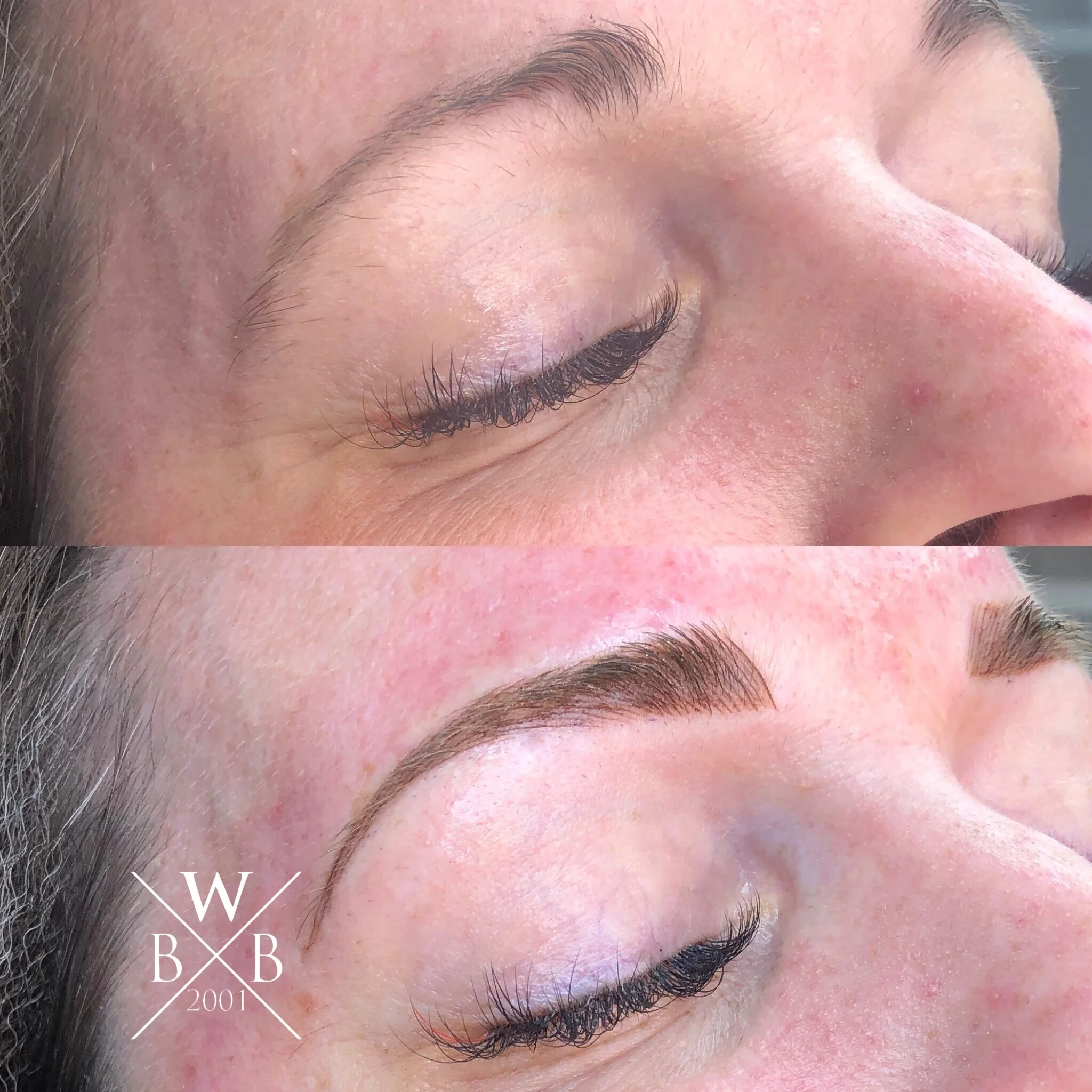 Microblading Before and After Pictures | Brows by Whitney
