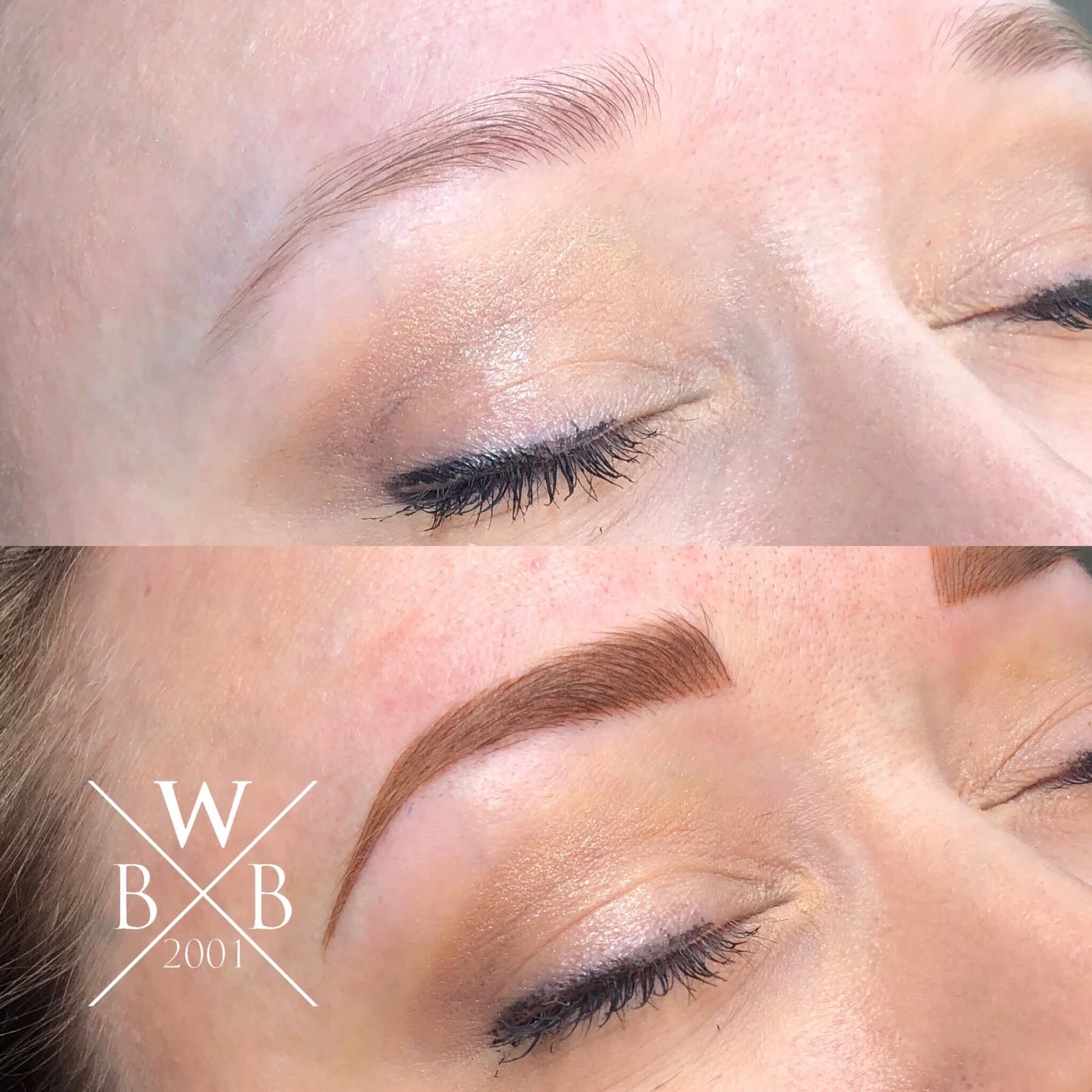 Microblading Before and After Pictures | Brows by Whitney