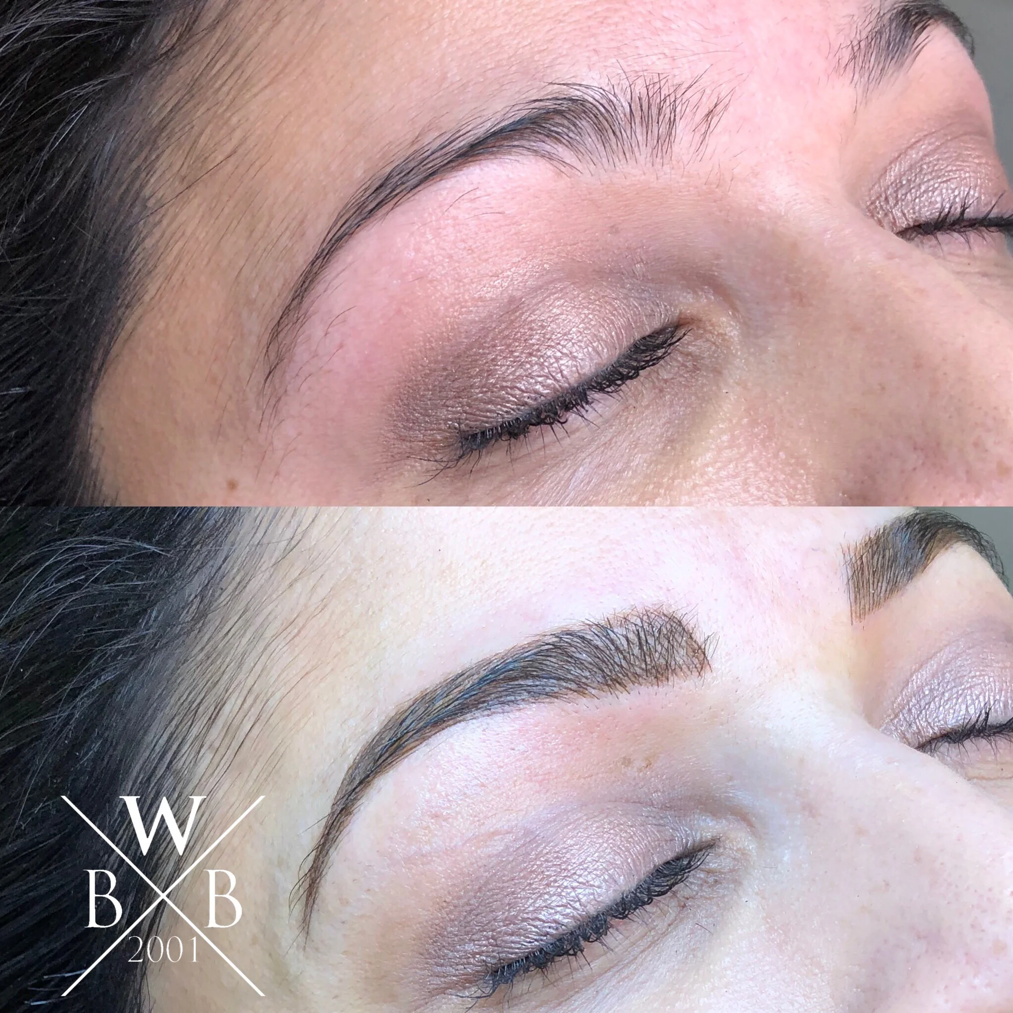 Microblading Before and After Pictures | Brows by Whitney