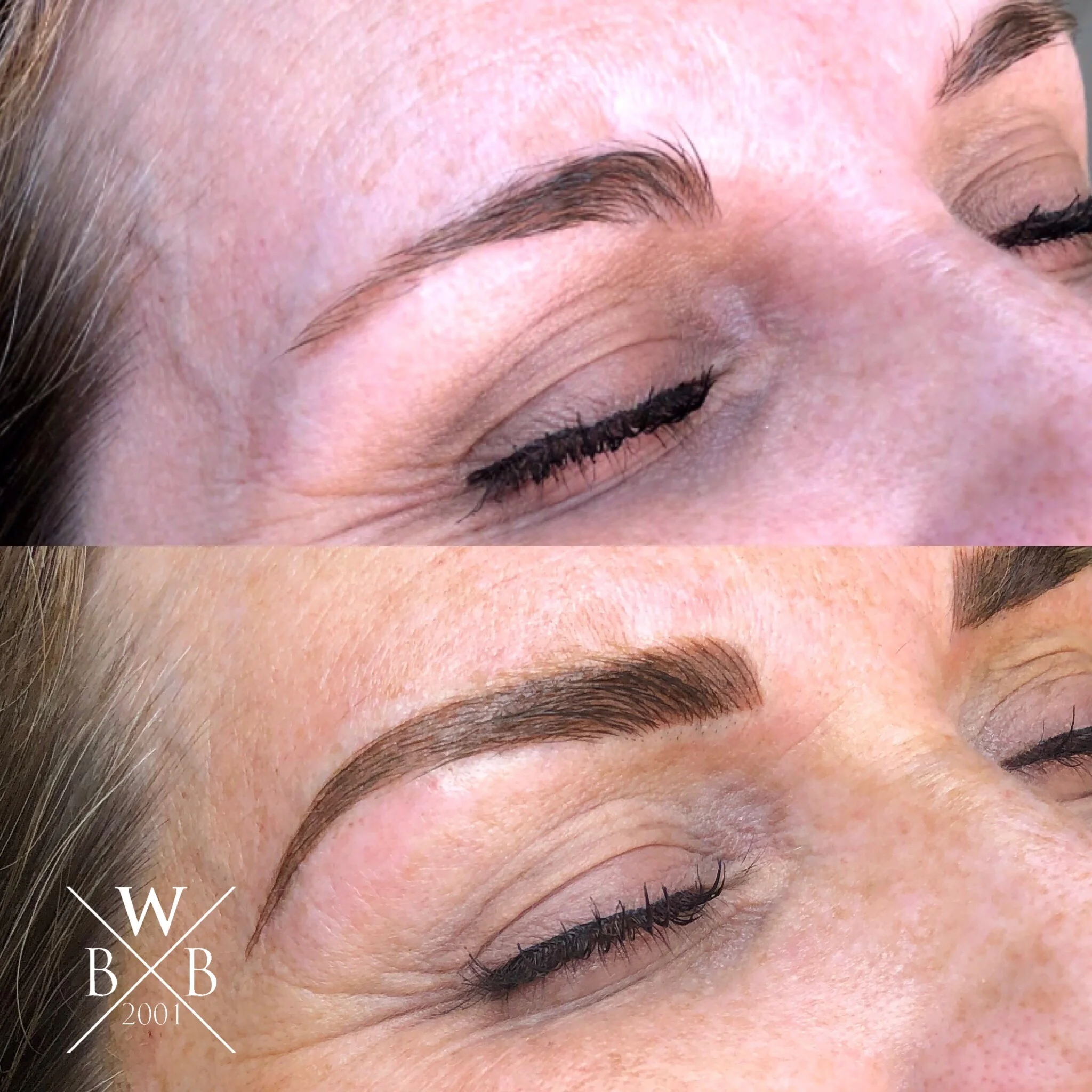 Microblading Before and After Pictures | Brows by Whitney