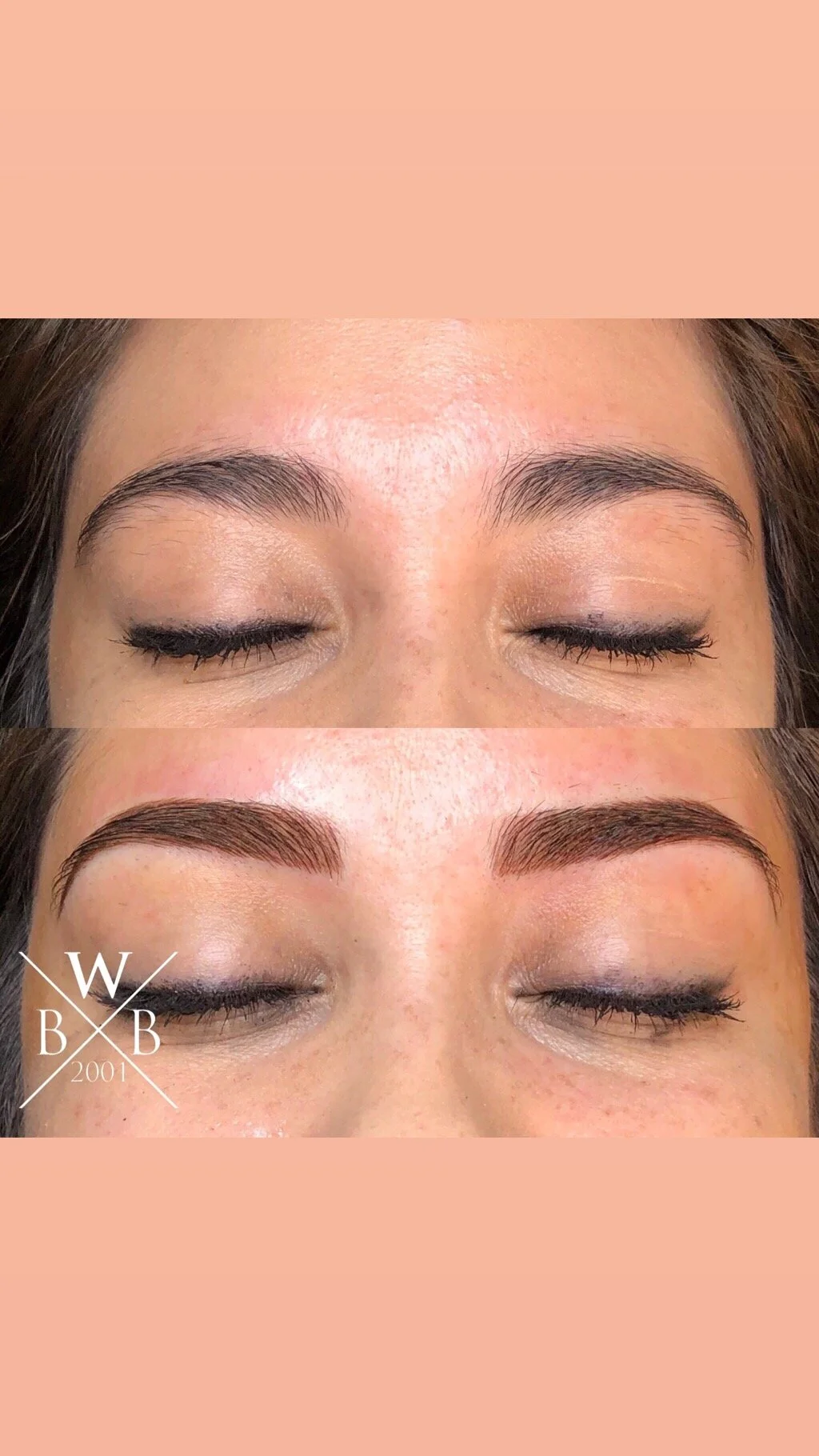 Microblading Before and After Pictures | Brows by Whitney