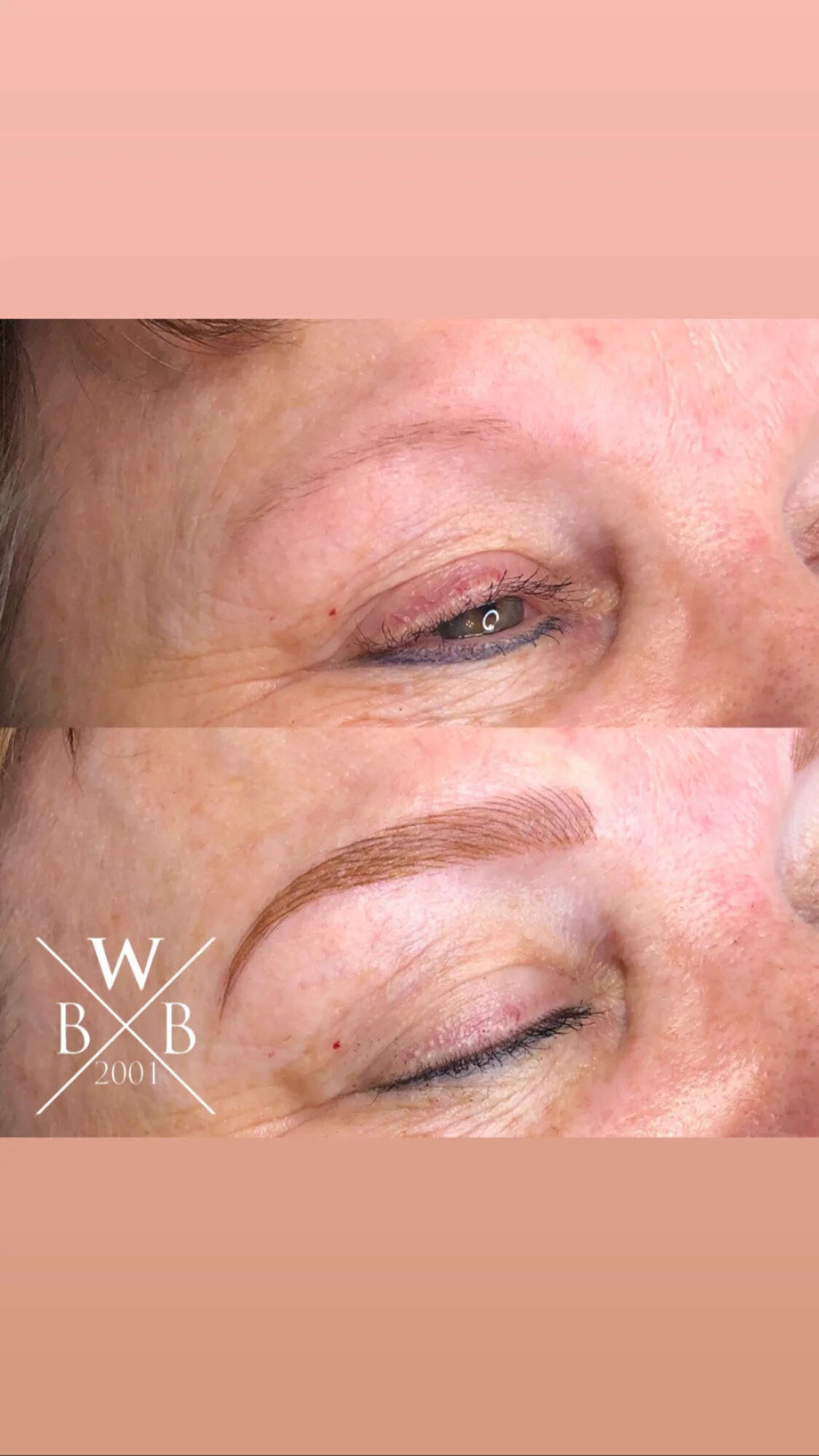 Microblading Before and After Pictures | Brows by Whitney