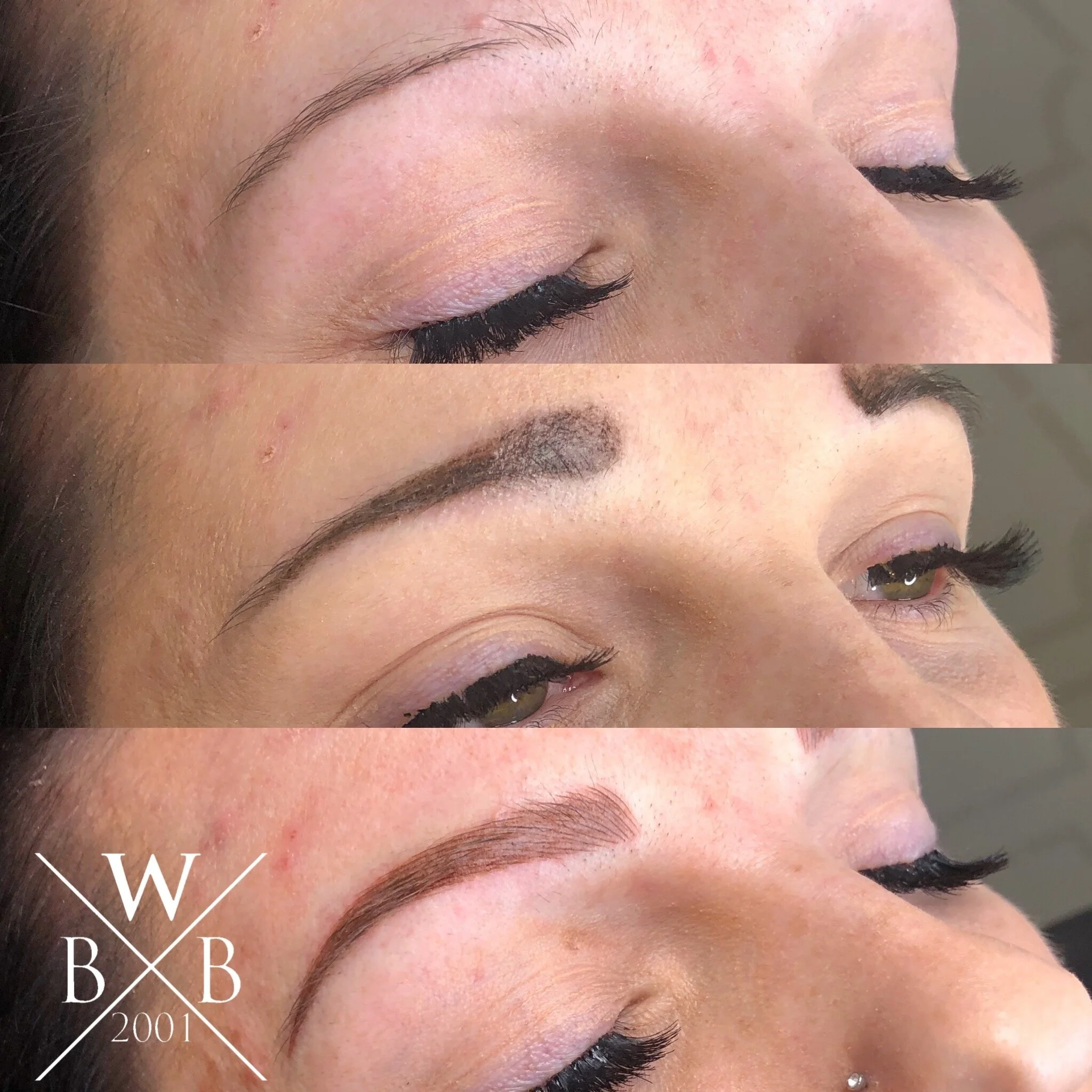 Microblading Before and After Pictures | Brows by Whitney