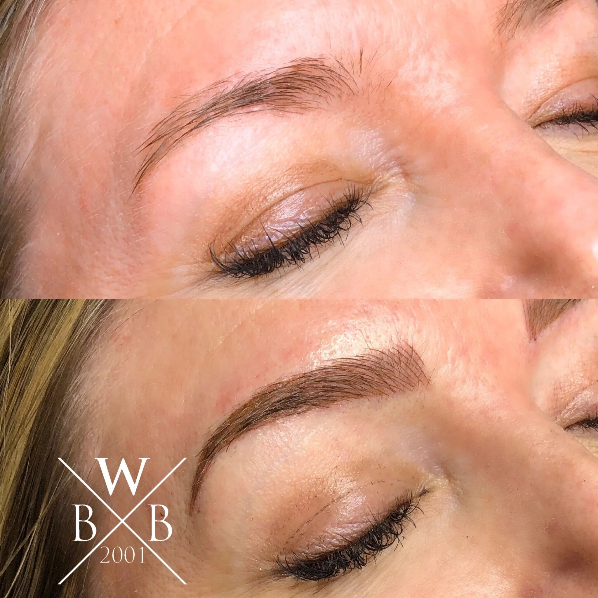 Microblading Before and After Pictures | Brows by Whitney