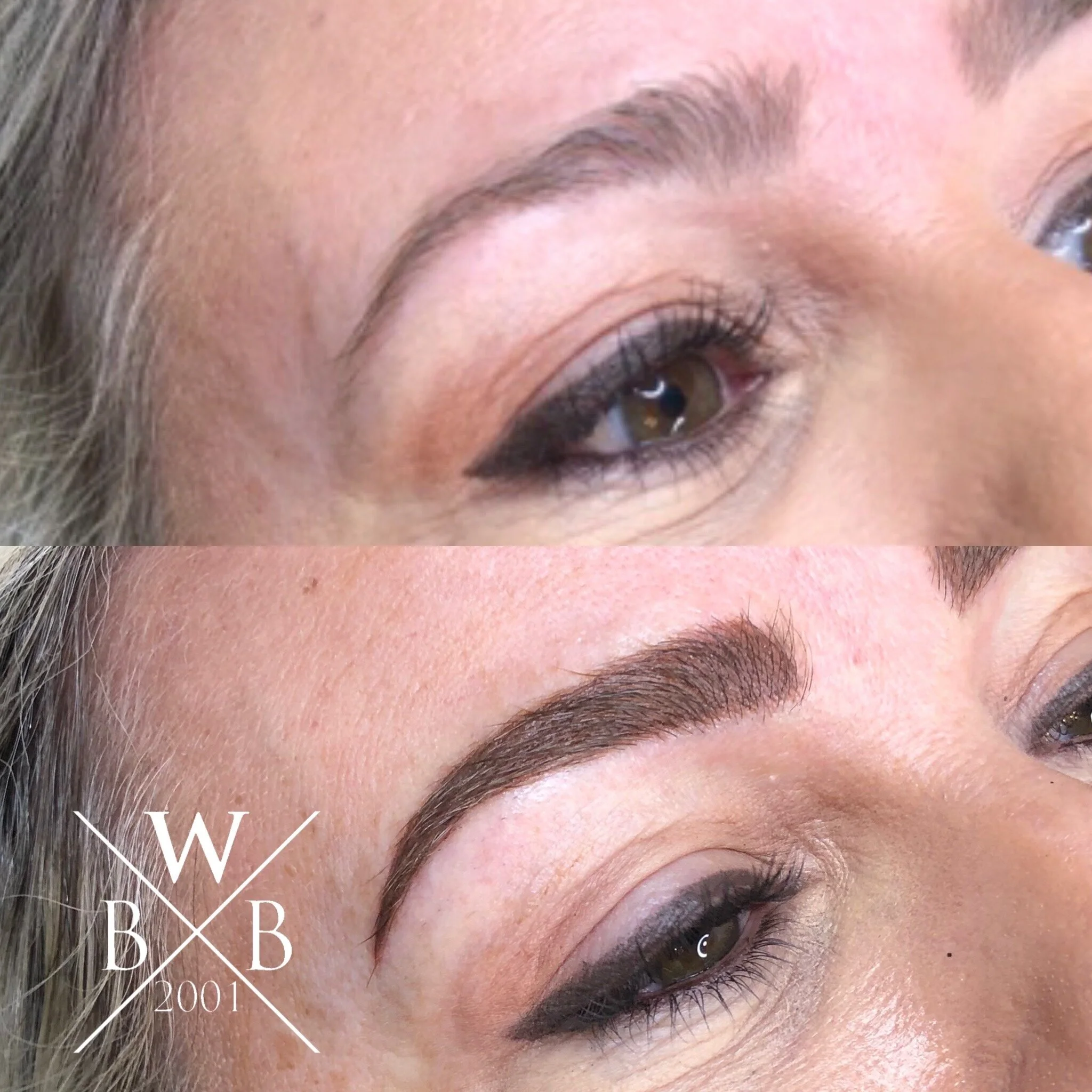 Microblading Before and After Pictures | Brows by Whitney