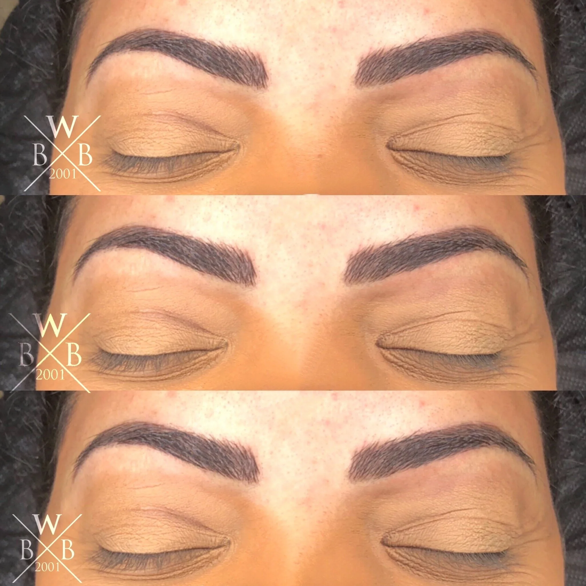 Microblading Before and After Pictures | Brows by Whitney