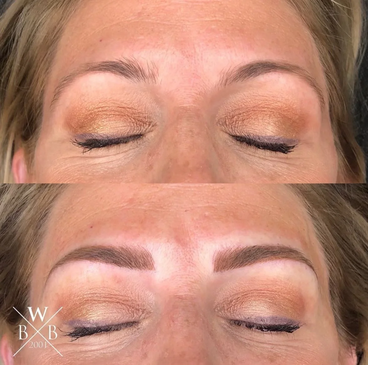 Microblading Before and After Pictures | Brows by Whitney