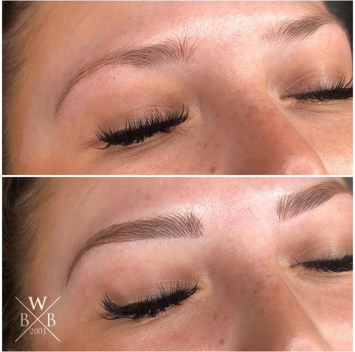 Microblading Utah | Brows by Whitney