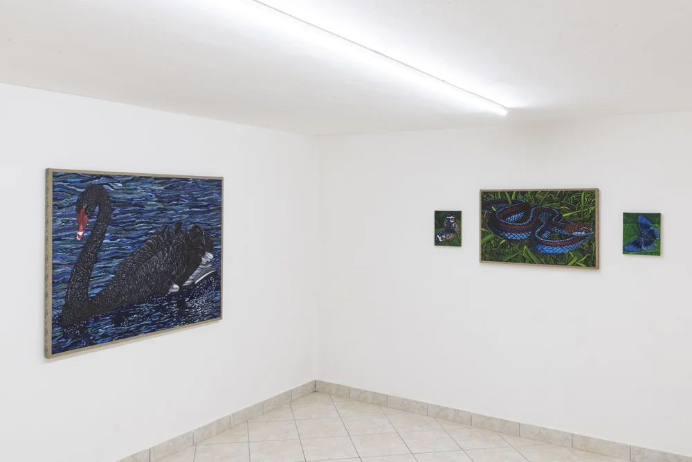Matteo Callegari