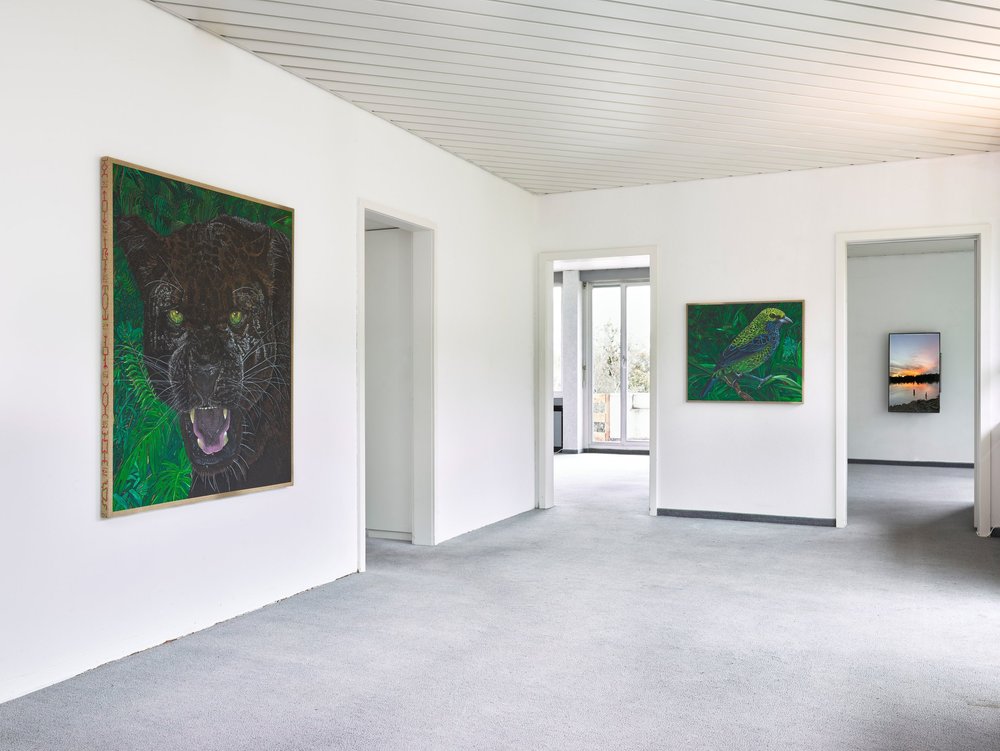 MATTEO CALLEGARI