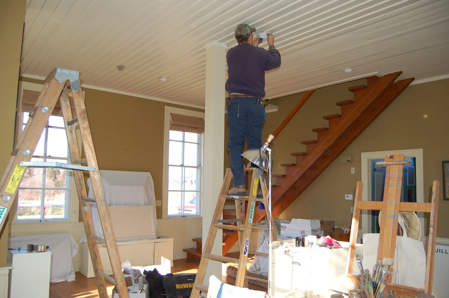 renovation — Dawn Stafford