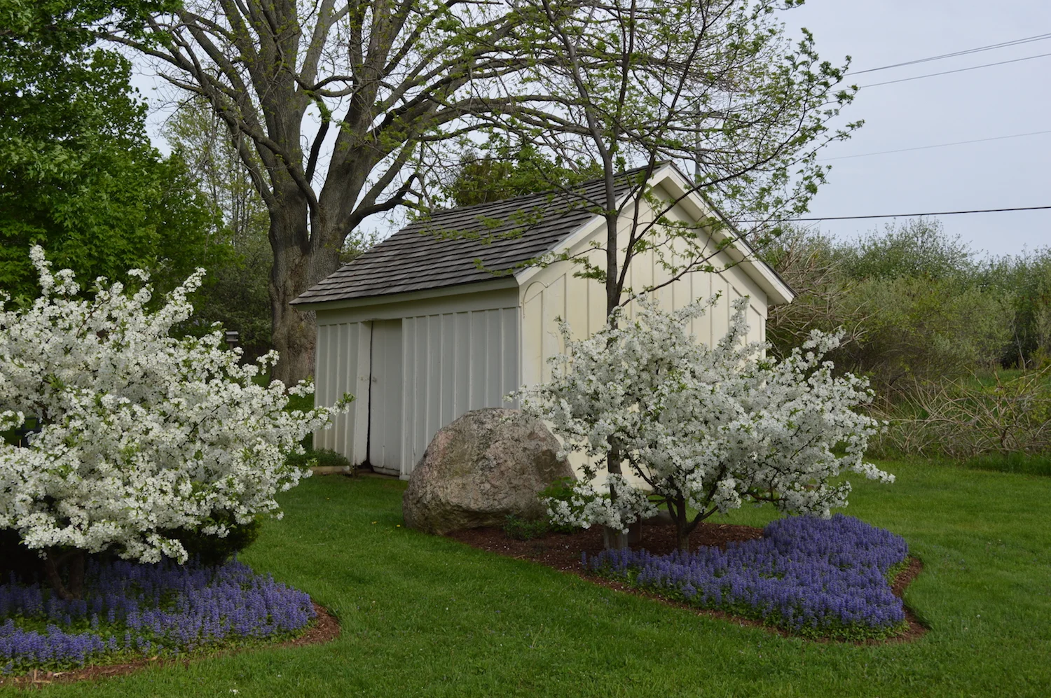 backyard garden — Dawn Stafford