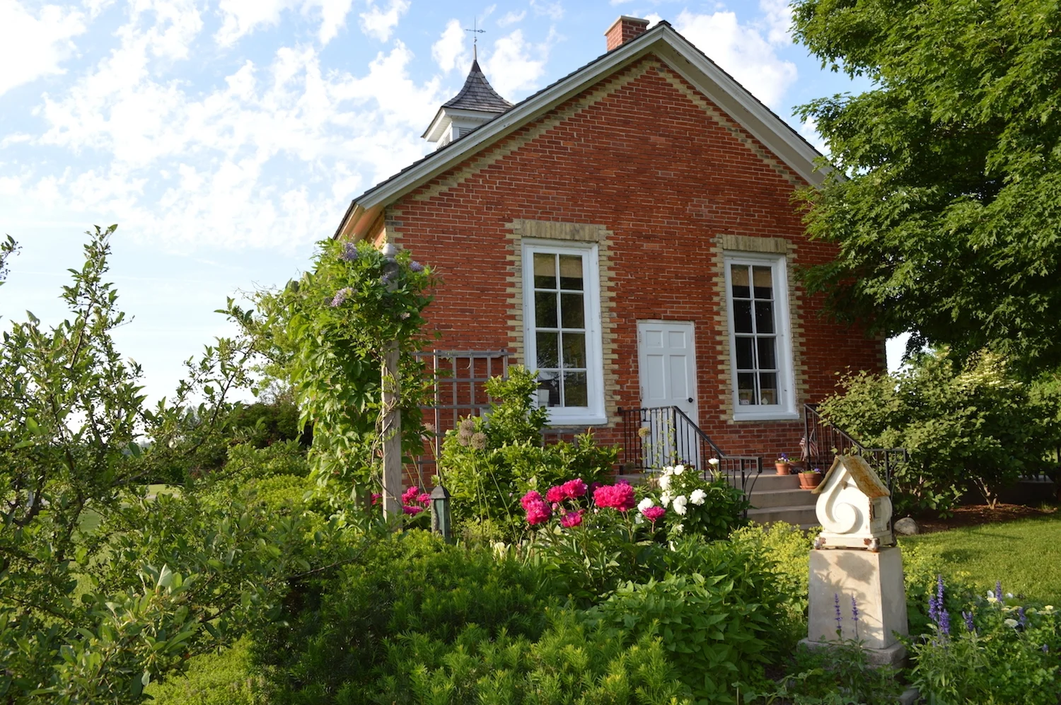 backyard garden — Dawn Stafford