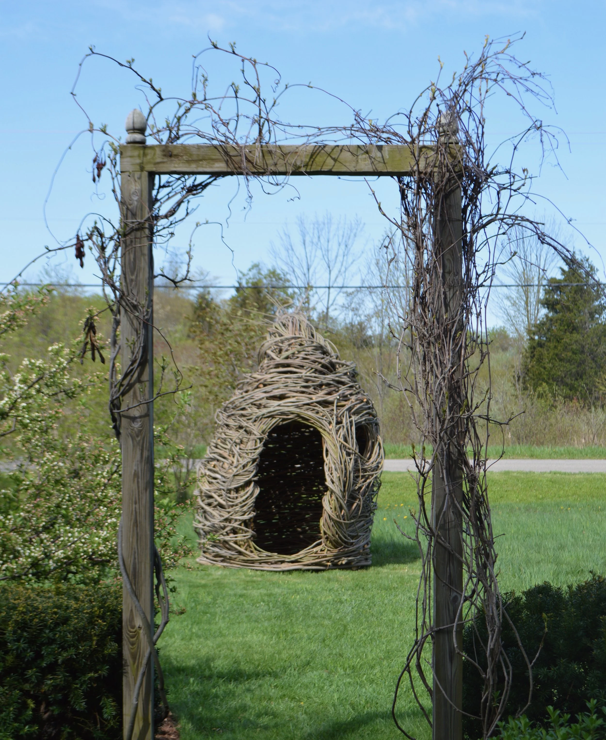 Demitree Oakheart — Dawn Stafford