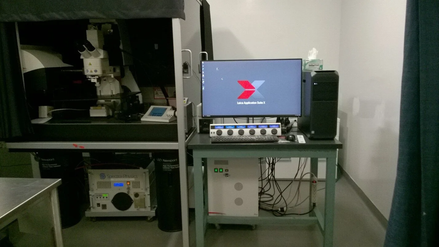 Confocal Microscopy — Microscopy and Image Analysis Core Facility