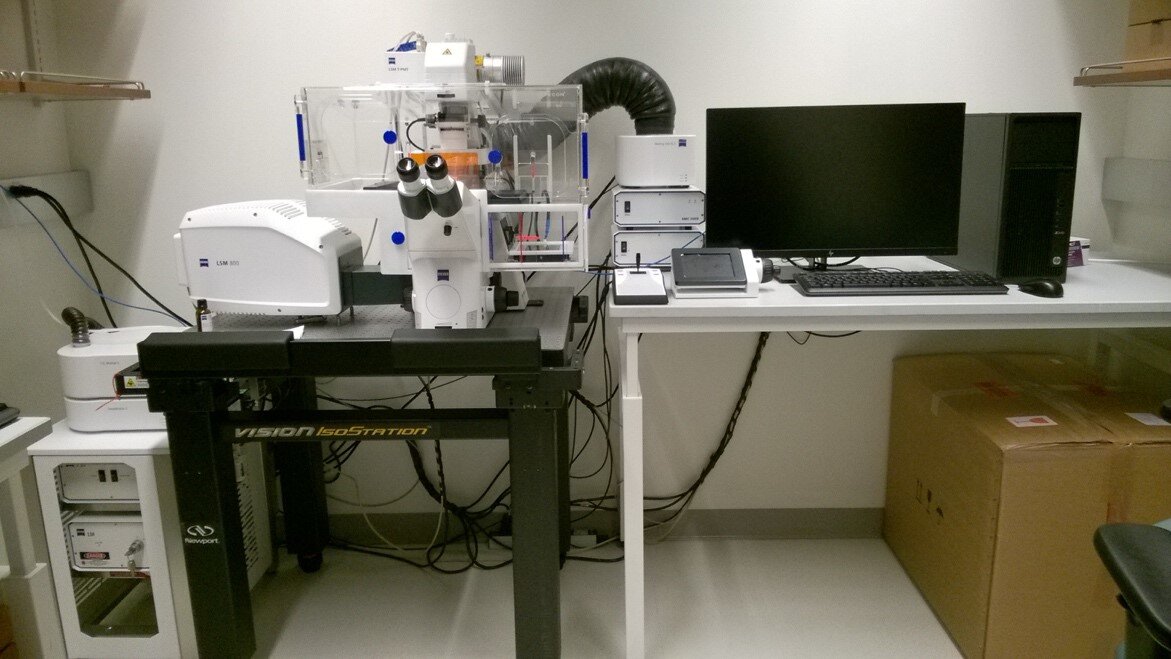 Confocal Microscopy — Microscopy and Image Analysis Core Facility