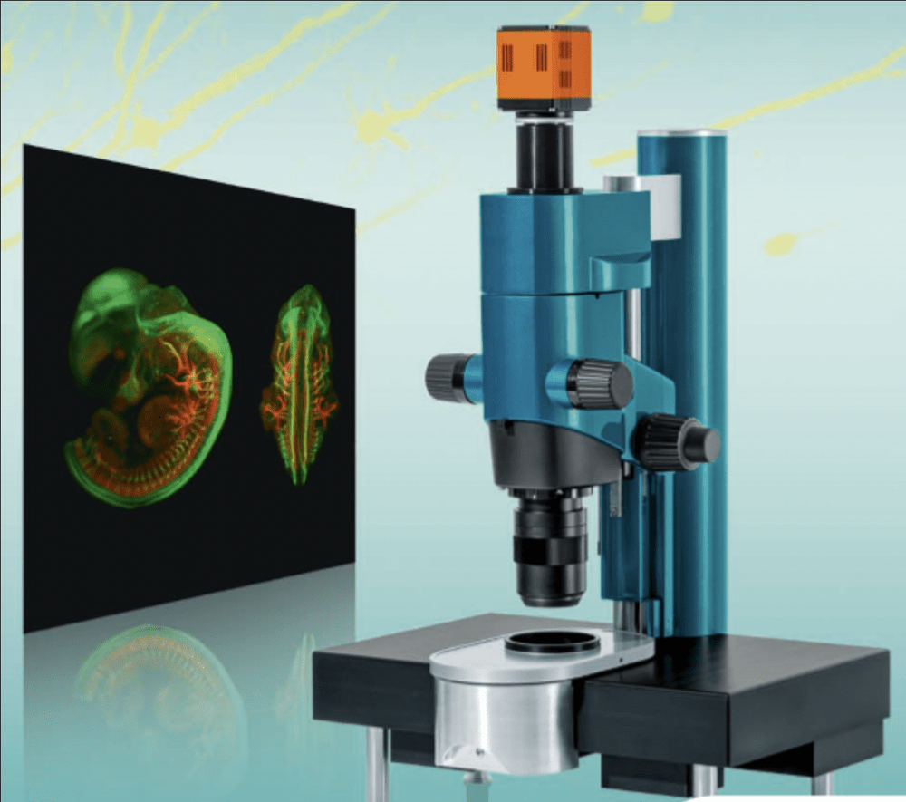 Light Sheet Microscopy — Microscopy and Image Analysis Core Facility