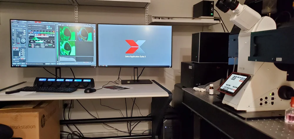 Leica Stellaris — Microscopy and Image Analysis Core Facility