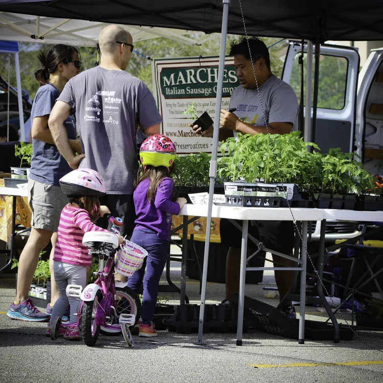 Farmers Market — Grogan's Mill Village Association