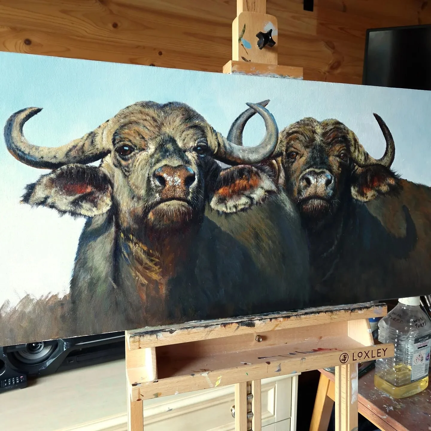 tony forrest wildlife art— tony forrest WILDLIFE ART