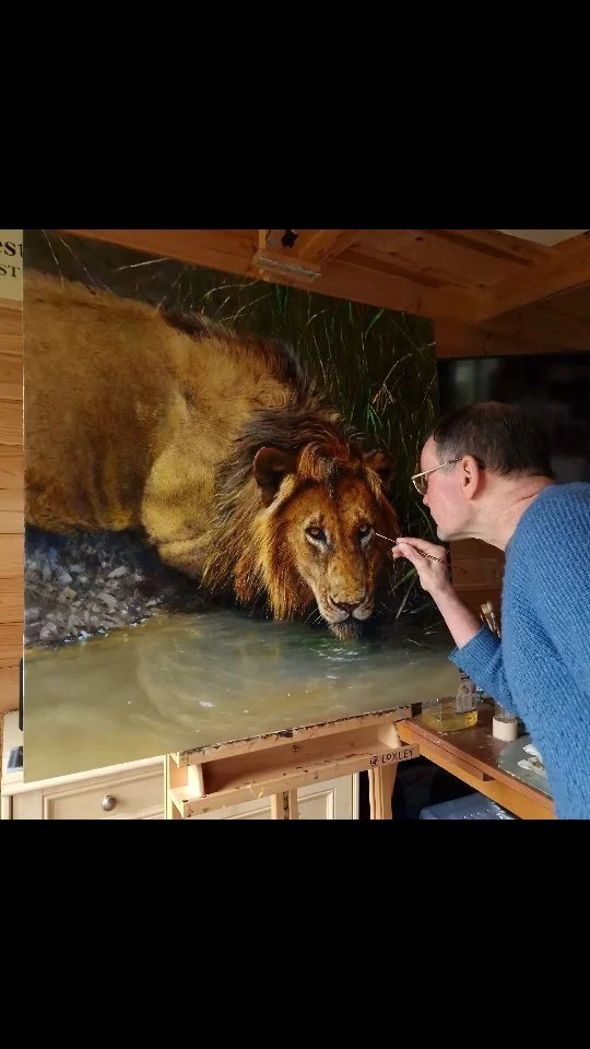 tony forrest wildlife art— tony forrest WILDLIFE ART