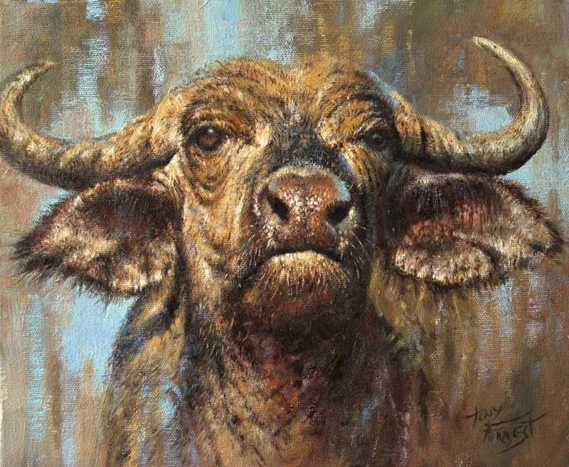 tony forrest wildlife art