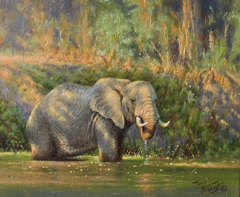 tony forrest wildlife art