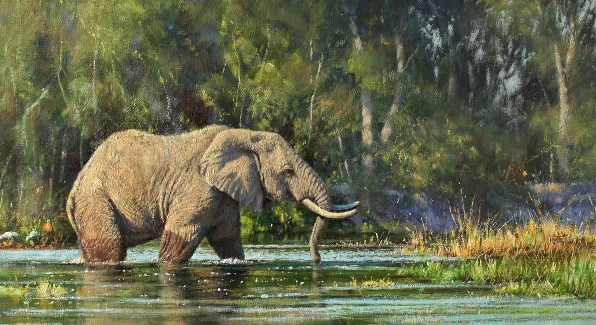 tony forrest wildlife art