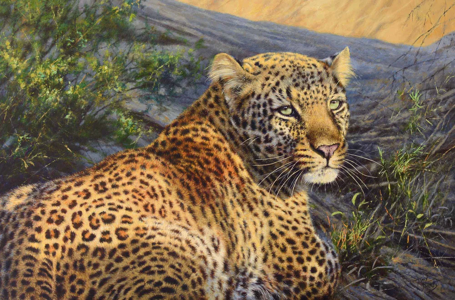 tony forrest wildlife art— tony forrest WILDLIFE ART