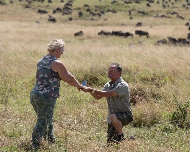 tony forrest wildlife art— tony forrest WILDLIFE ART