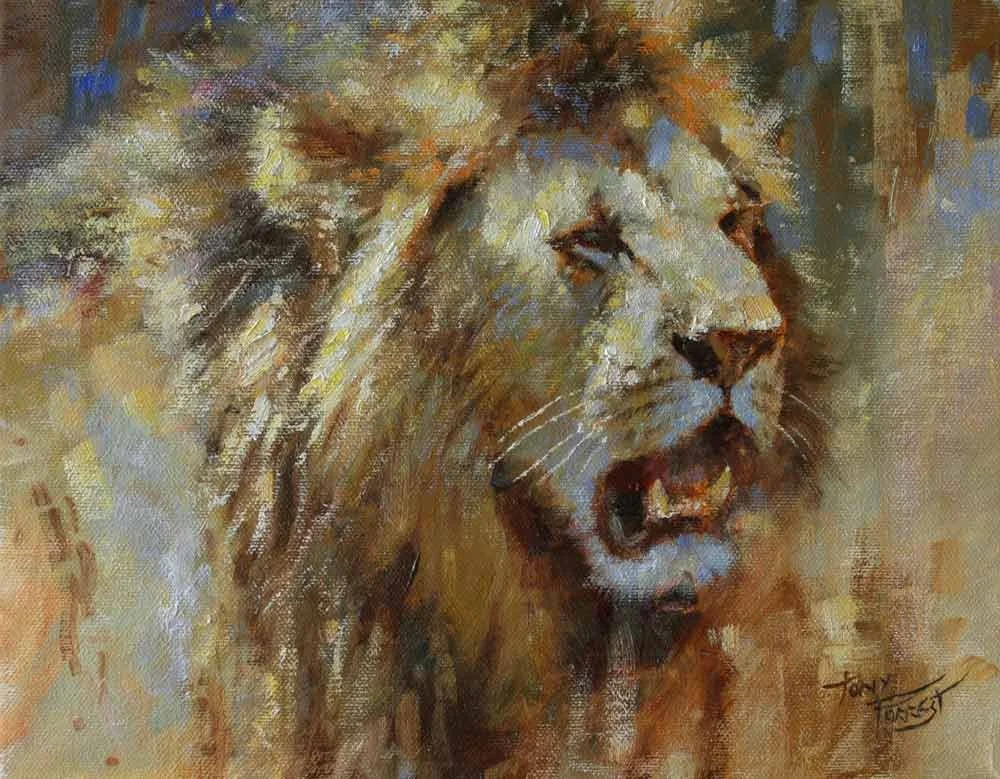 tony forrest wildlife art— tony forrest WILDLIFE ART