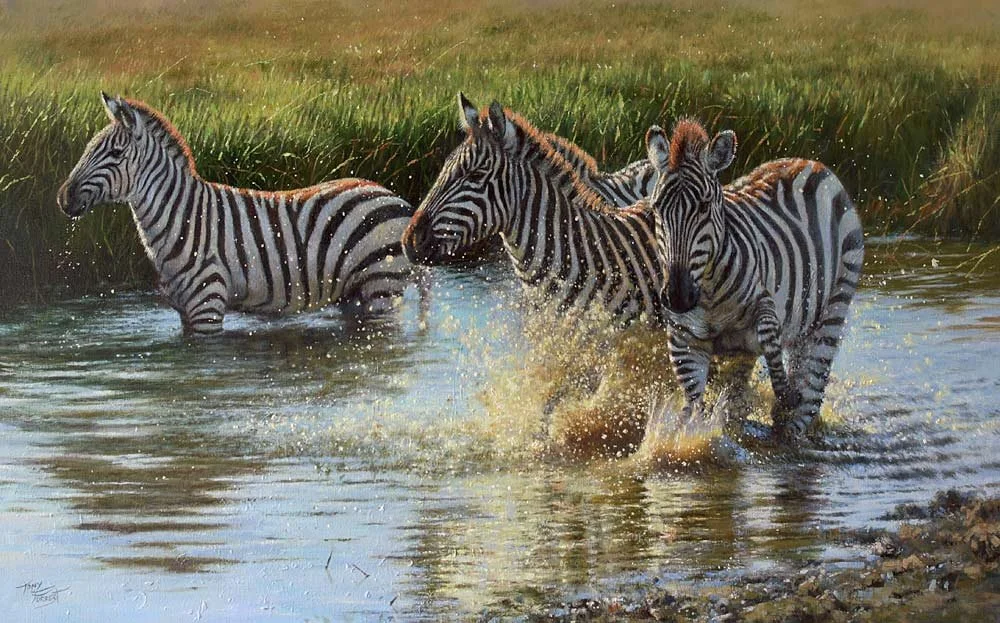 tony forrest wildlife art— tony forrest WILDLIFE ART