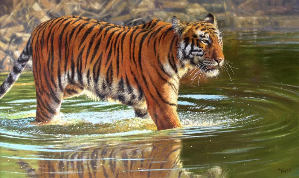 Tony Forrest | Original Wildlife Oil Paintings & Safari Art
